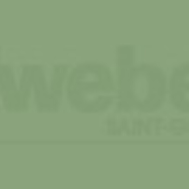 weber.floor 4650 | Saint-Gobain Weber Hong-Kong